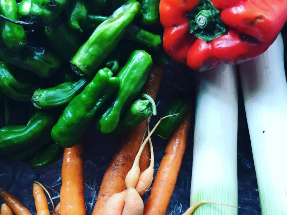 One Eared Stag Chef Rob Phalen’s Dumpster Salad Dressing - Second ...